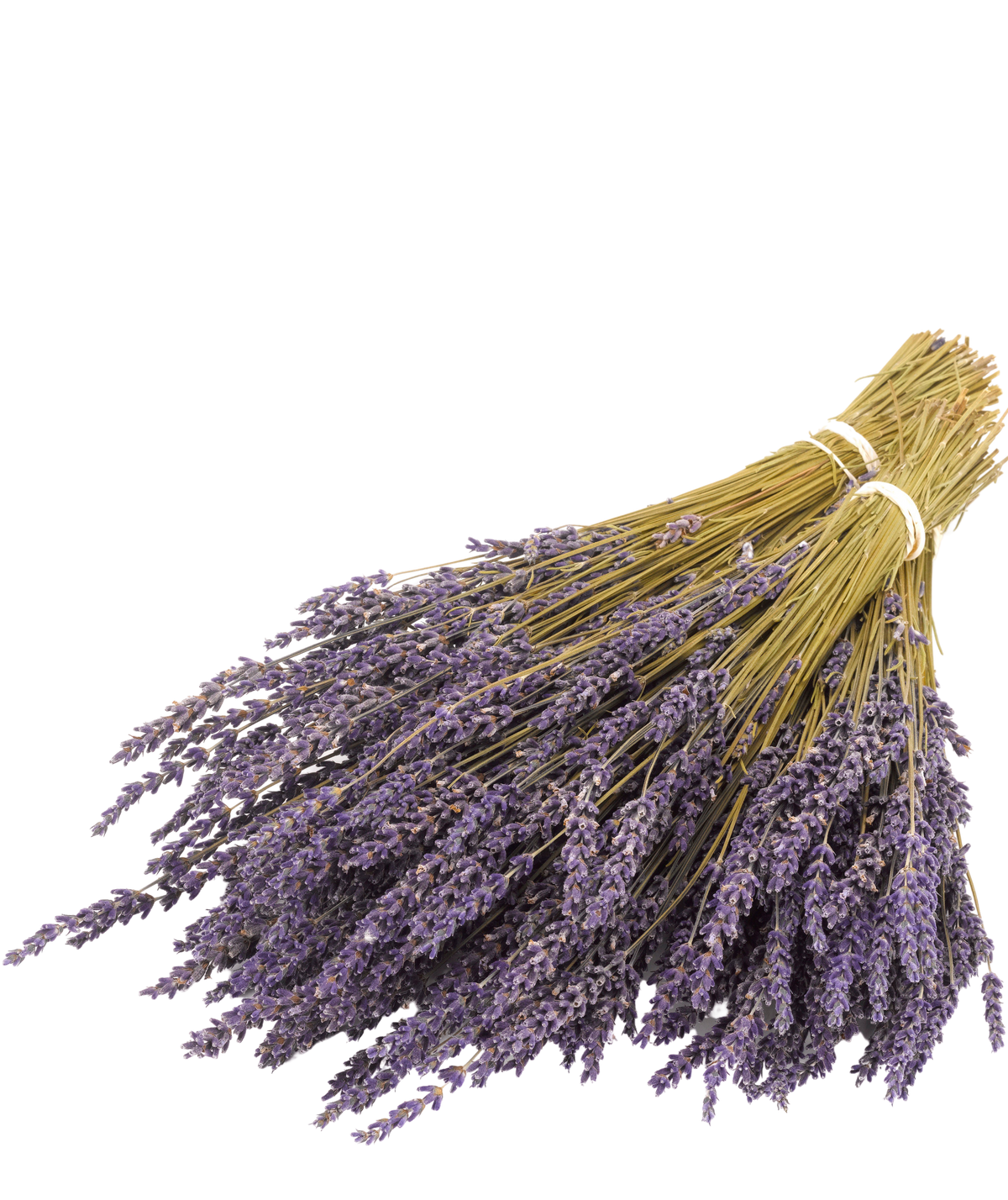 Lavender Bunches | Jacobs Field Lavender